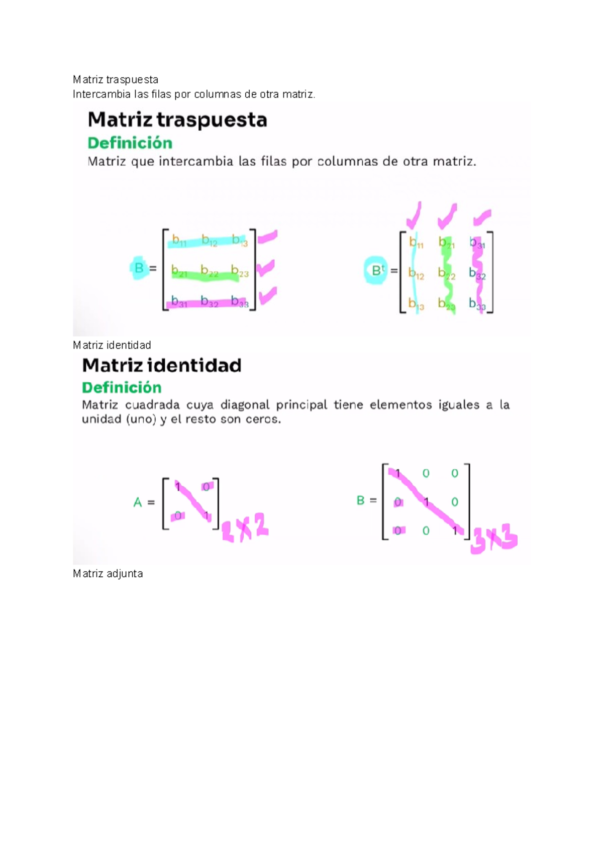 Algebra Líneal - apuntes - Matriz traspuesta Intercambia las filas por ...