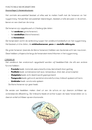 Neuroanatomie - hersenzenuwen - Neuroanatomie :hersenzenuwen ...