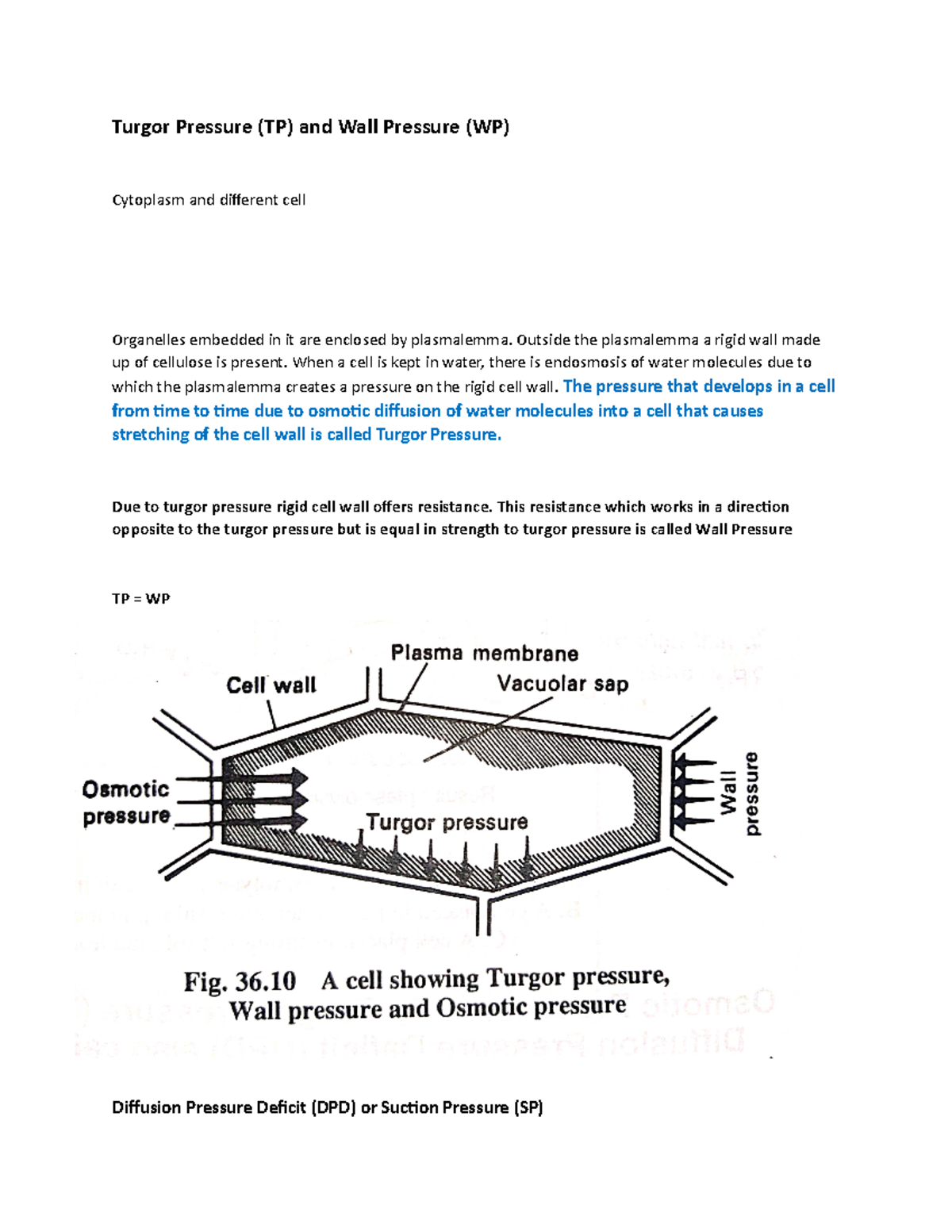 Turgor Pressure and wall Pressure - Turgor Pressure (TP) and Wall ...