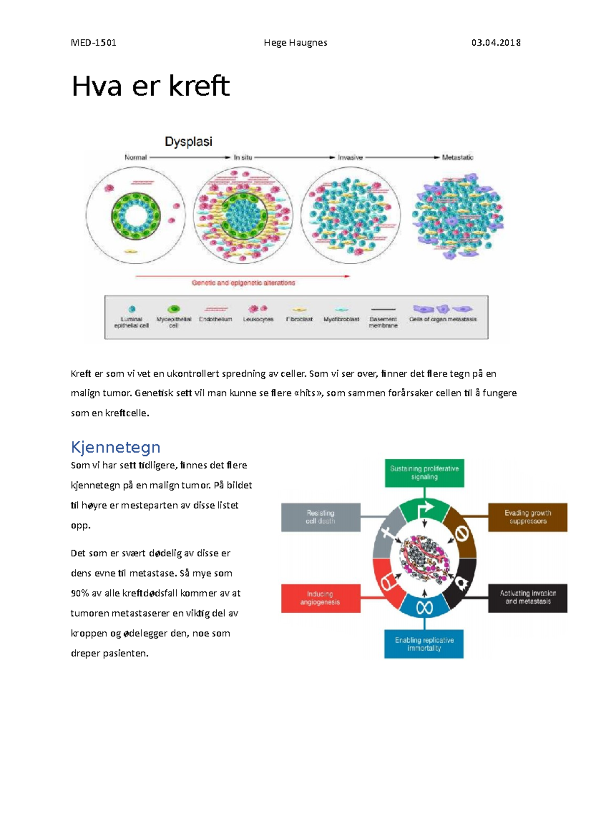Hva er kreft - Foredragsnotater Delemne 1.5 - Forelesning 104 - MED ...