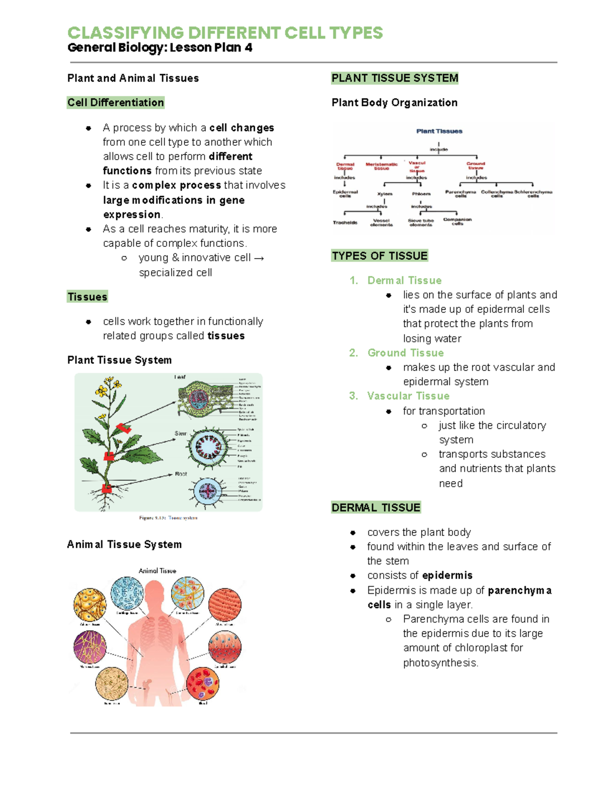 Genbio reviewer - CLASSIFYING DIFFERENT CELL TYPES General Biology ...
