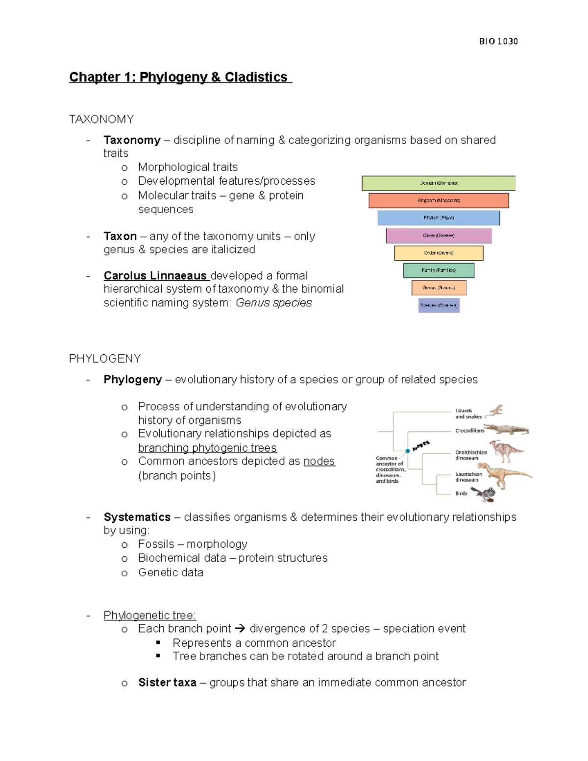 BIO 1030 - Chapter 1 - Chapter 1: Phylogeny & Cladistics TAXONOMY ...