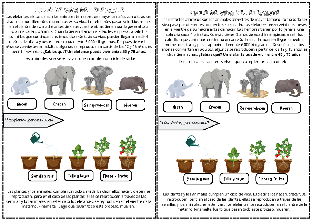 Ficha de ciencia - Nacen Crecen Se reproducen Mueren Y las plantas ...
