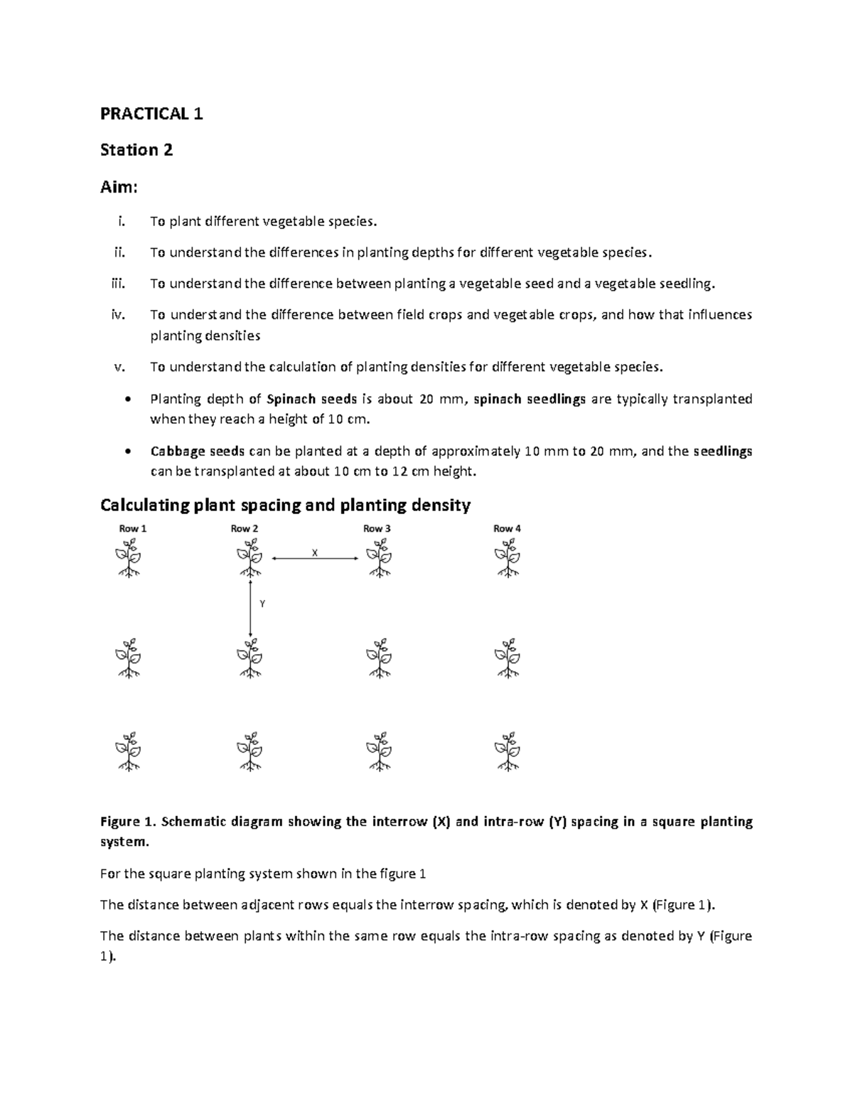 CROP 2614 Planting Density and Depth of vegetables Station 2 Group 1 ...