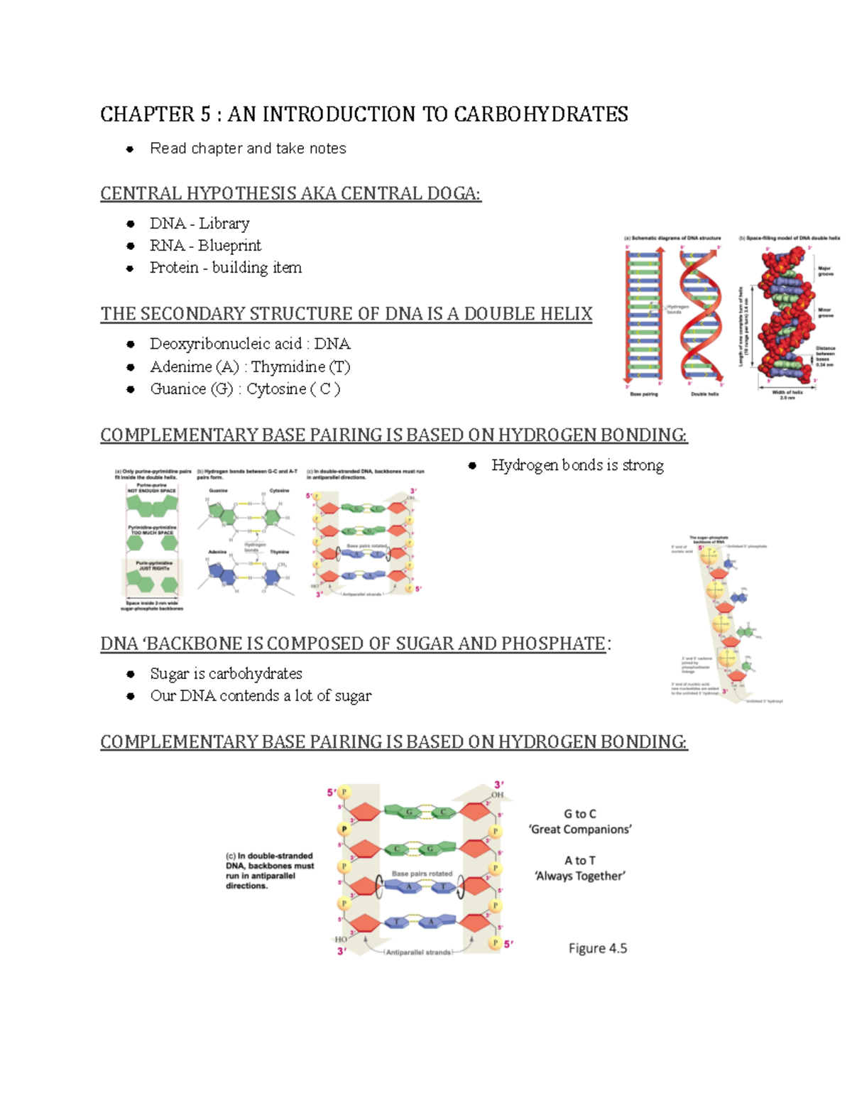 Chapter 5 notes - Studocu