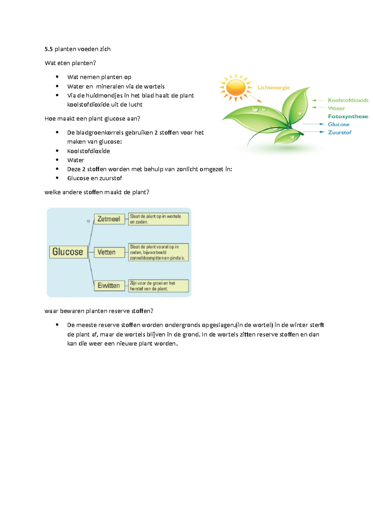 5.5 planten voeden zich Tara - 5 planten voeden zich Wat eten planten ...
