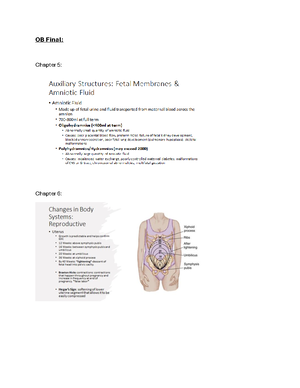 OB Final Focused Review - First Trimester-First day of LMP to end of ...