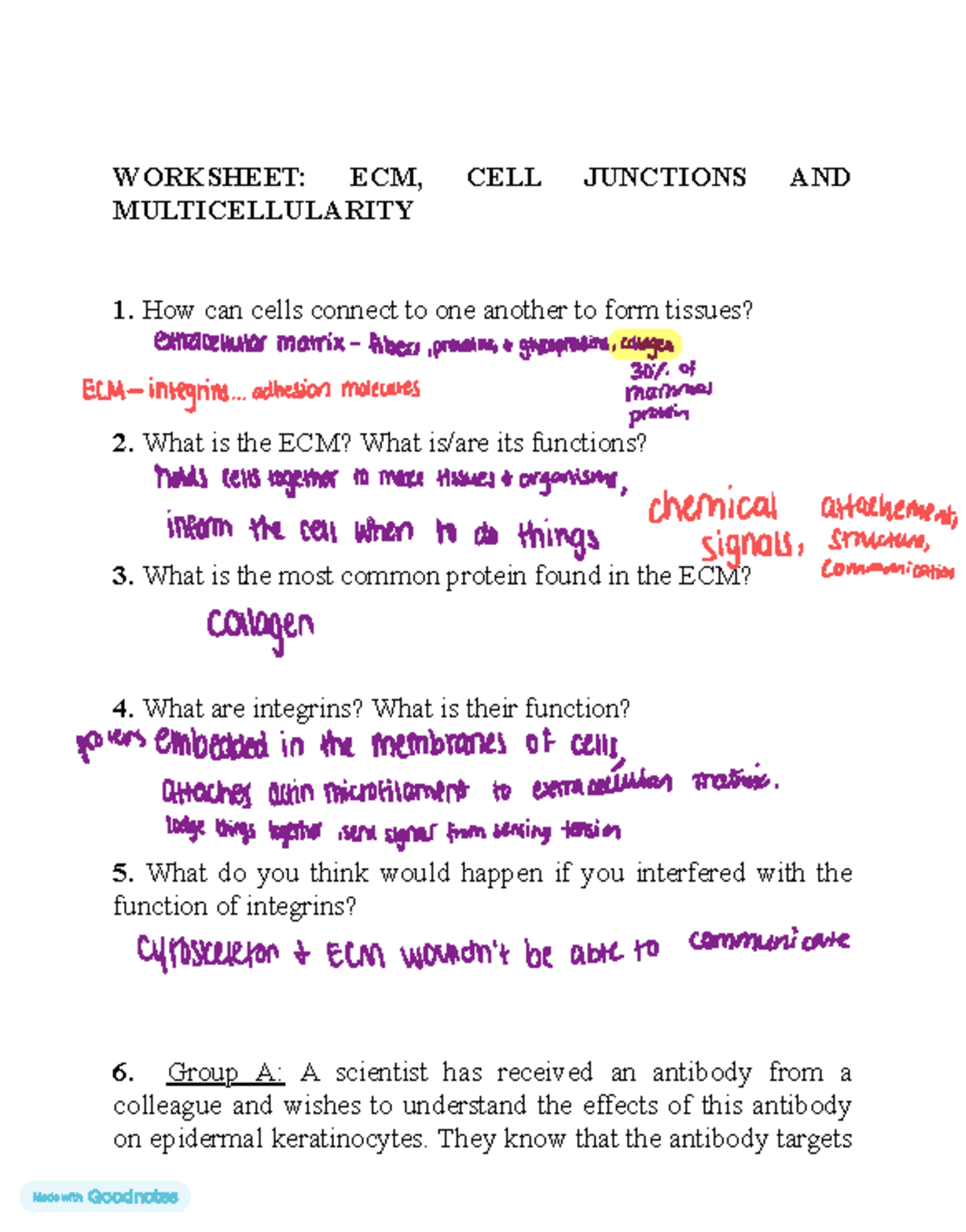 ECM Worksheet - WORKSHEET: ECM, CELL JUNCTIONS AND MULTICELLULARITY 1 ...