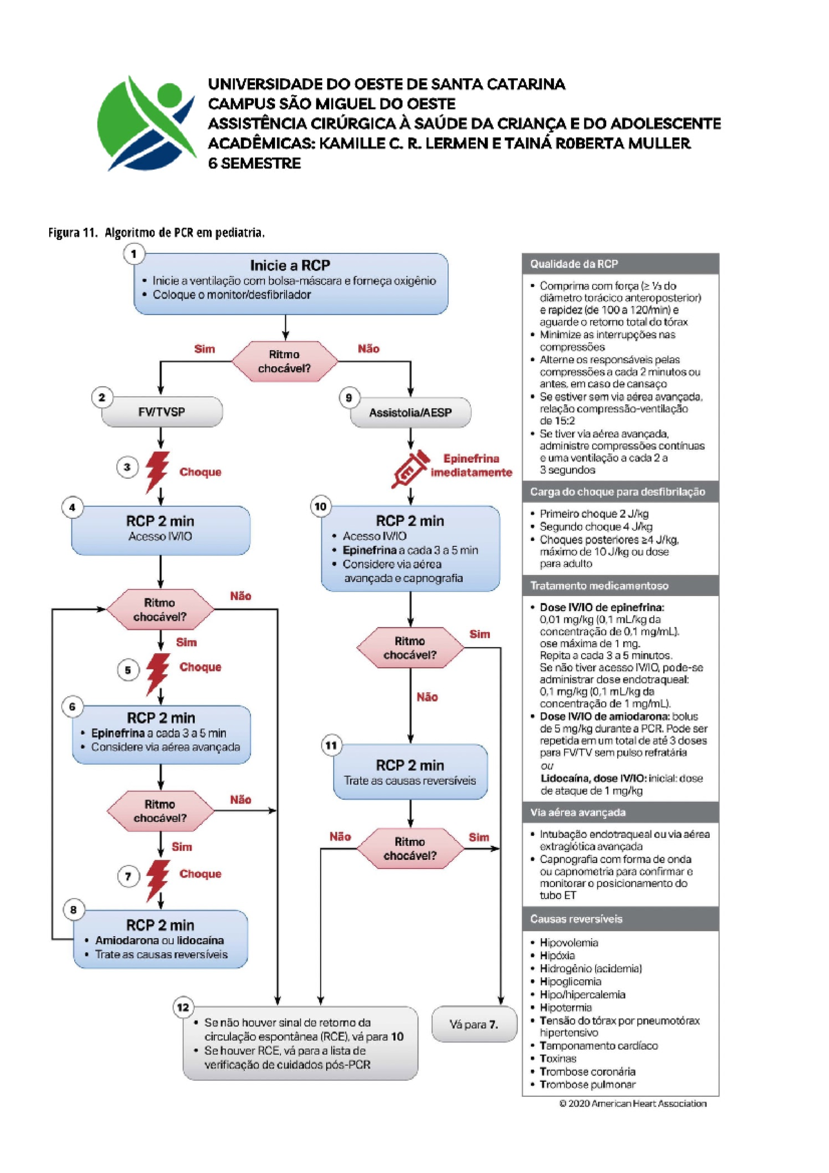 Trabalho criança rcp - rcp - Saúde Pública - Studocu