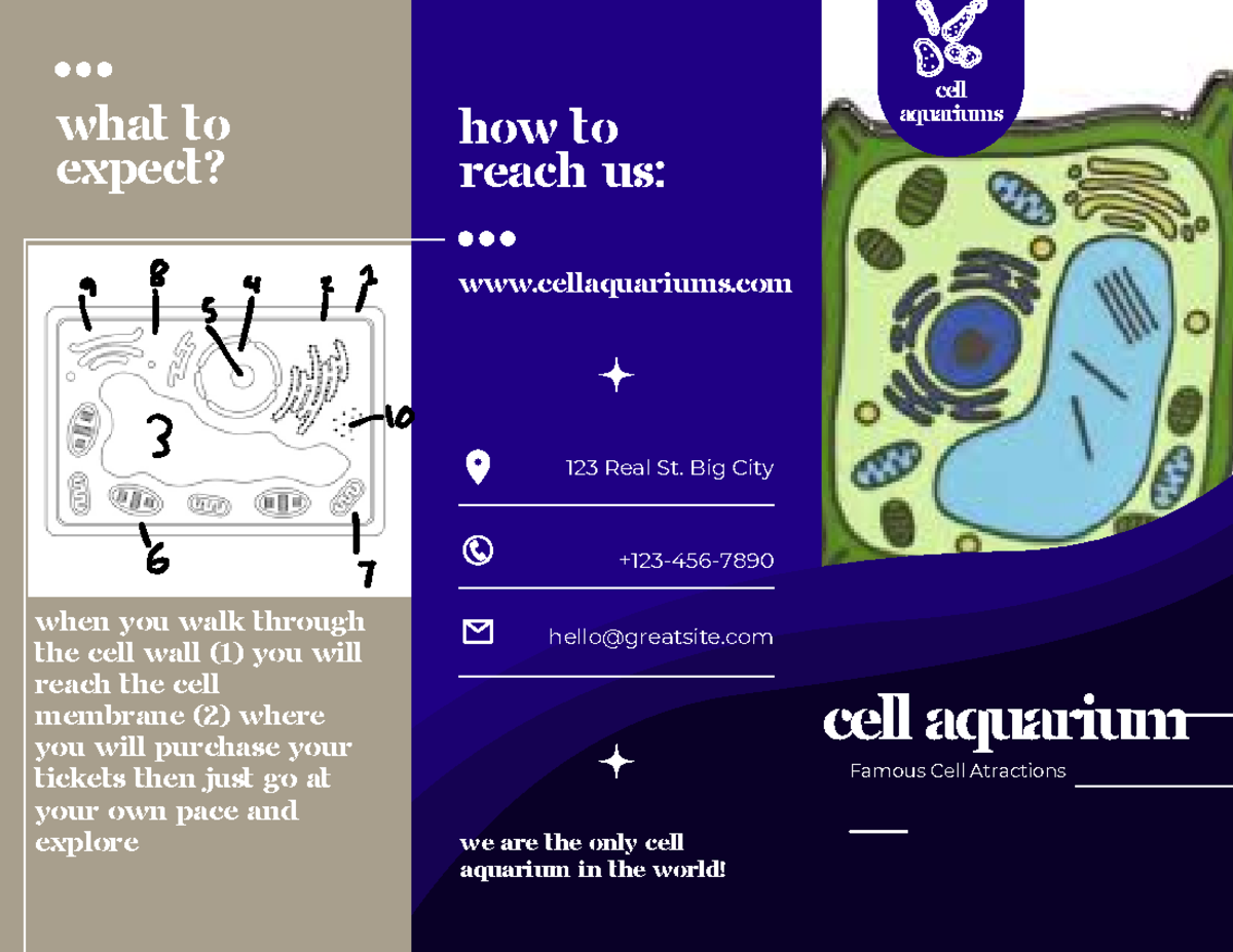 Cell Project - its just a panflet - Cell aquarium ####### Cell ...