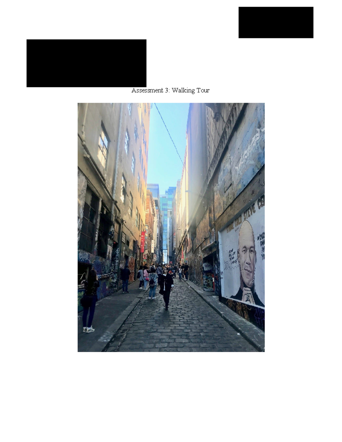 Example Three - Elora McCuddy Student number: 1003293 CCDP20001 Street ...