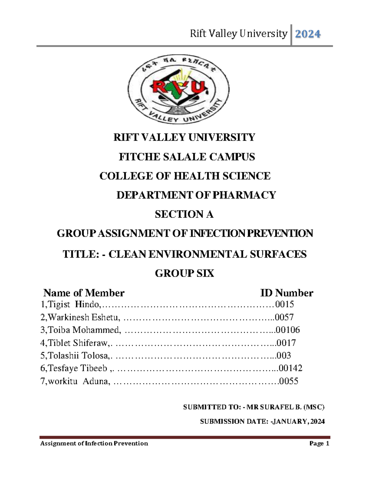 Tigist Group Six - hhh - RIFT VALLEY UNIVERSITY FITCHE SALALE CAMPUS ...