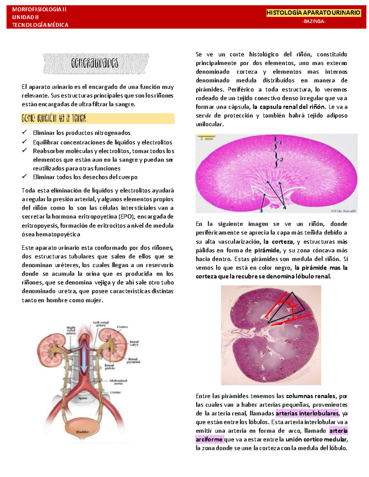 Clase 1 - edsrfghm - Warning: TT: undefined function: 32 II HISTOLOGÍA APARATO URINARIO UNIDAD ...