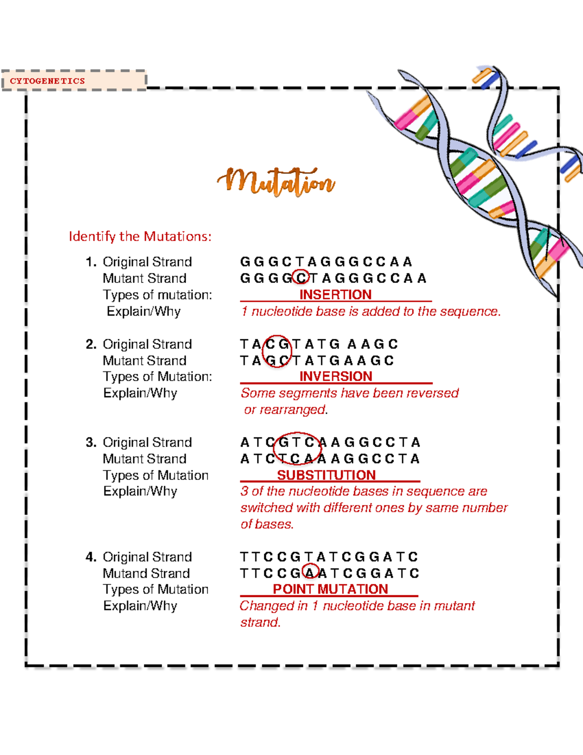Mutation Activity ( Cytogenetics) - Identify the Mutations: Original ...