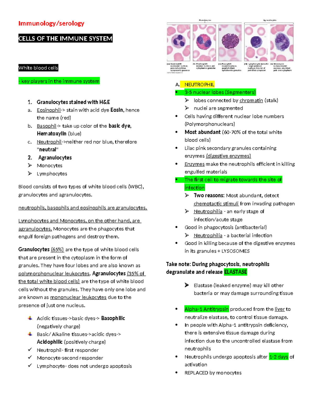 Cells OF THE Immune System - Immunology/serology CELLS OF THE IMMUNE ...