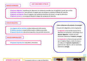 TEMA 2 LOS Ecosistemas - tema de naturales - HÁBITAT Es el lugar donde ...