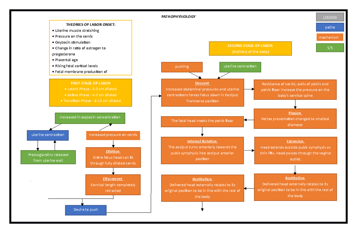 DR DUTY Pathophysiology - PATHOPHYSIOLOGY patho LEGEND Restitution ...