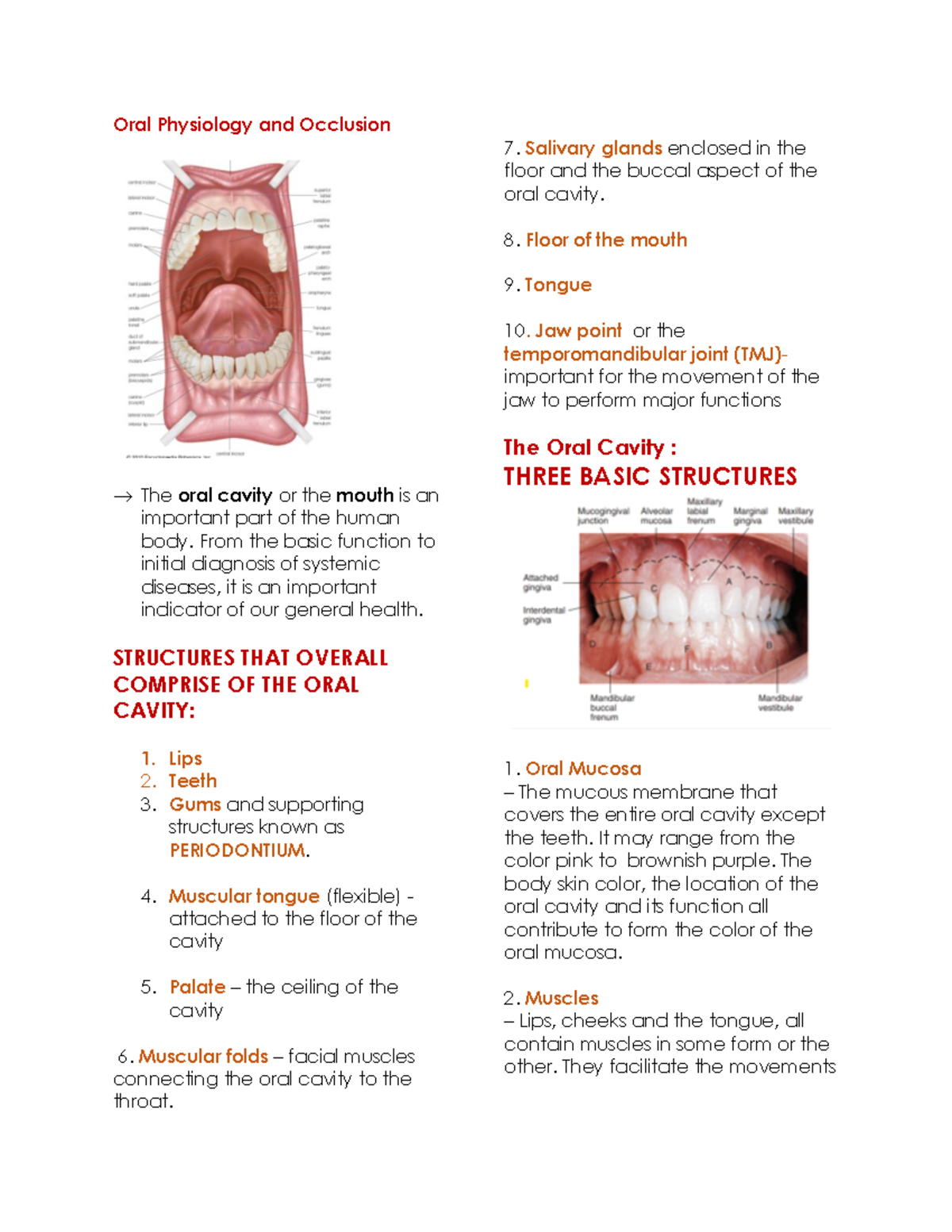 Finals midterms Oral Physiology and Occlusion Notes 2 - Oral Physiology ...