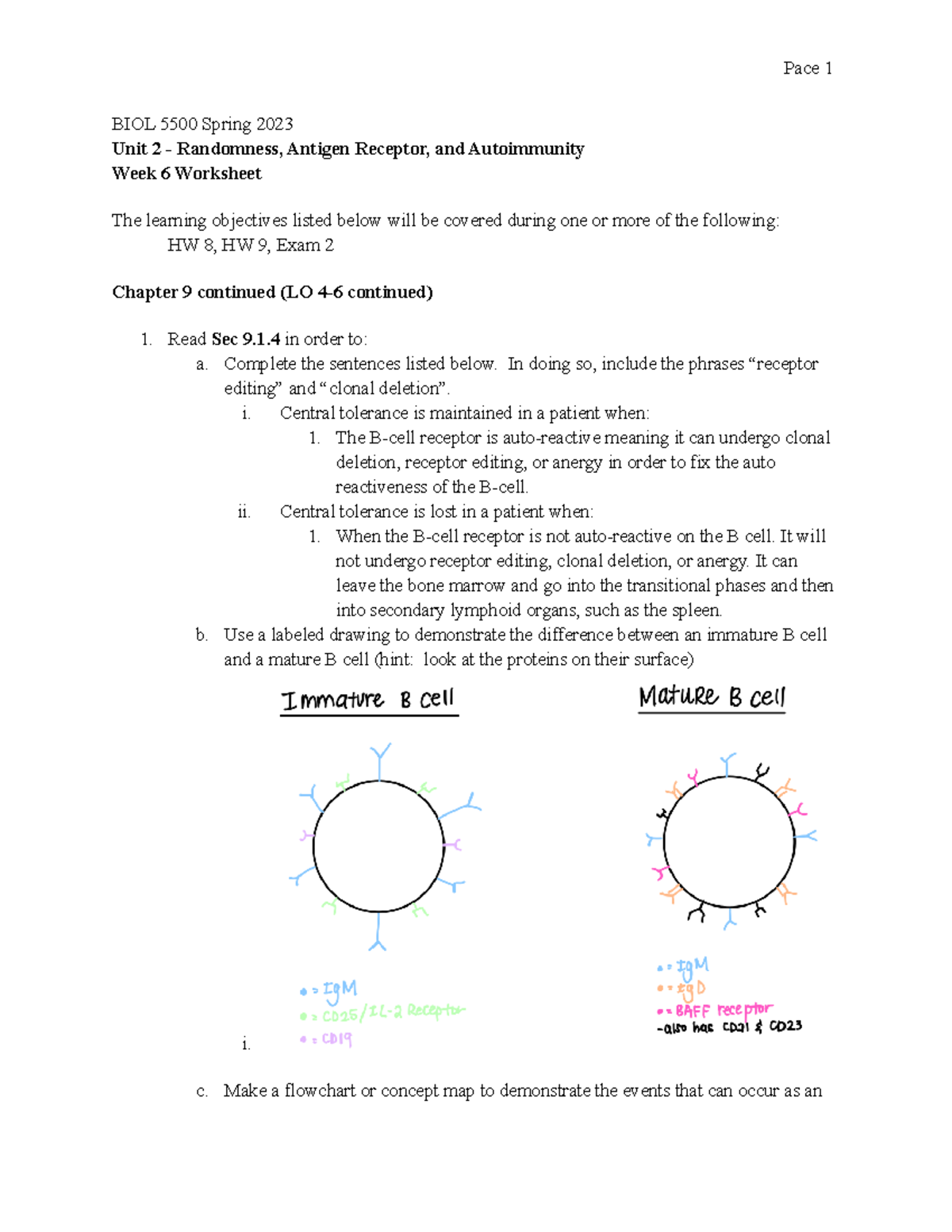 Immunology Worksheet 6 - BIOL 5500 Spring 2023 Unit 2 - Randomness ...