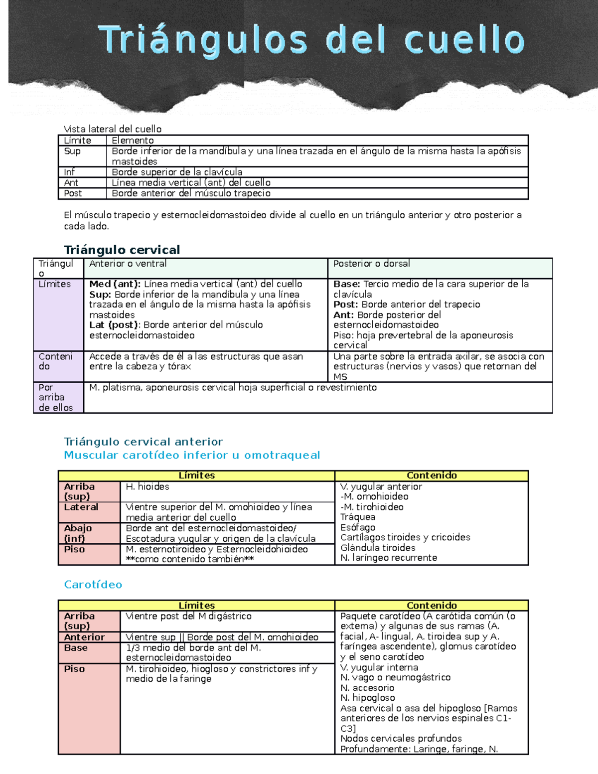 Triangulos del cuello y glandulas salivales y parótida - Vista lateral del cuello Límite ...
