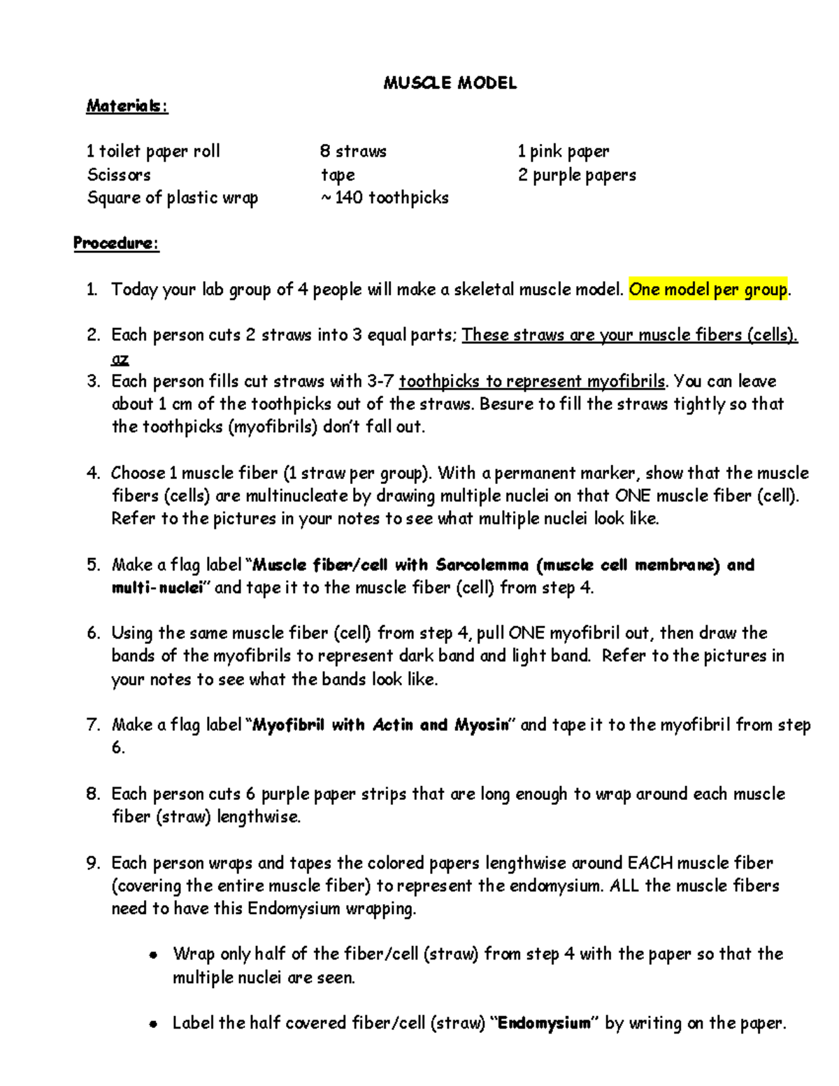 Copy of Muscle Model - anatomy - MUSCLE MODEL Materials: 1 toilet paper ...