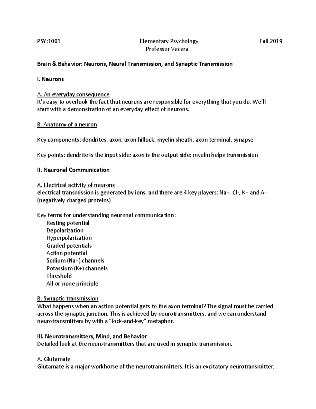 Einstein's brain 2 - Vecera: Lecture Outline. - Warning: TT: undefined function: 32 PSY:1001 ...