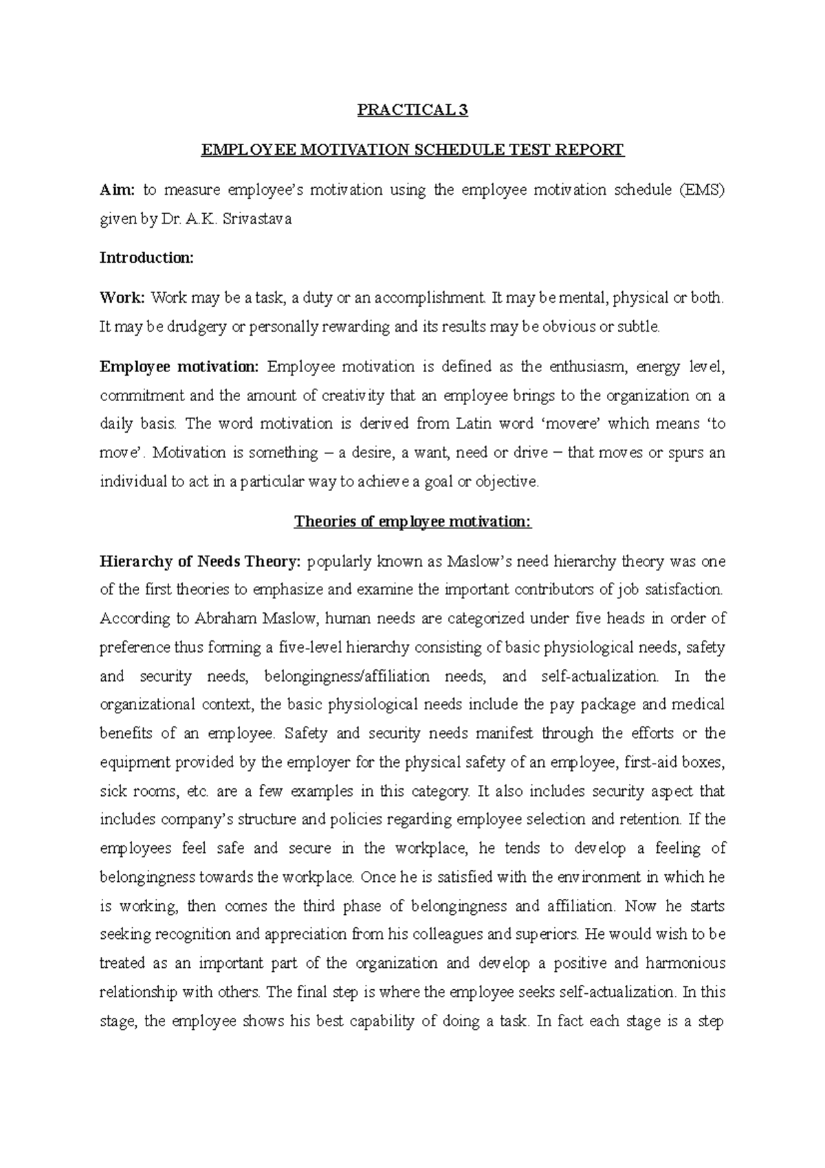 Prac 3 Employee Motivation Schedule TEST Report - PRACTICAL 3 EMPLOYEE ...