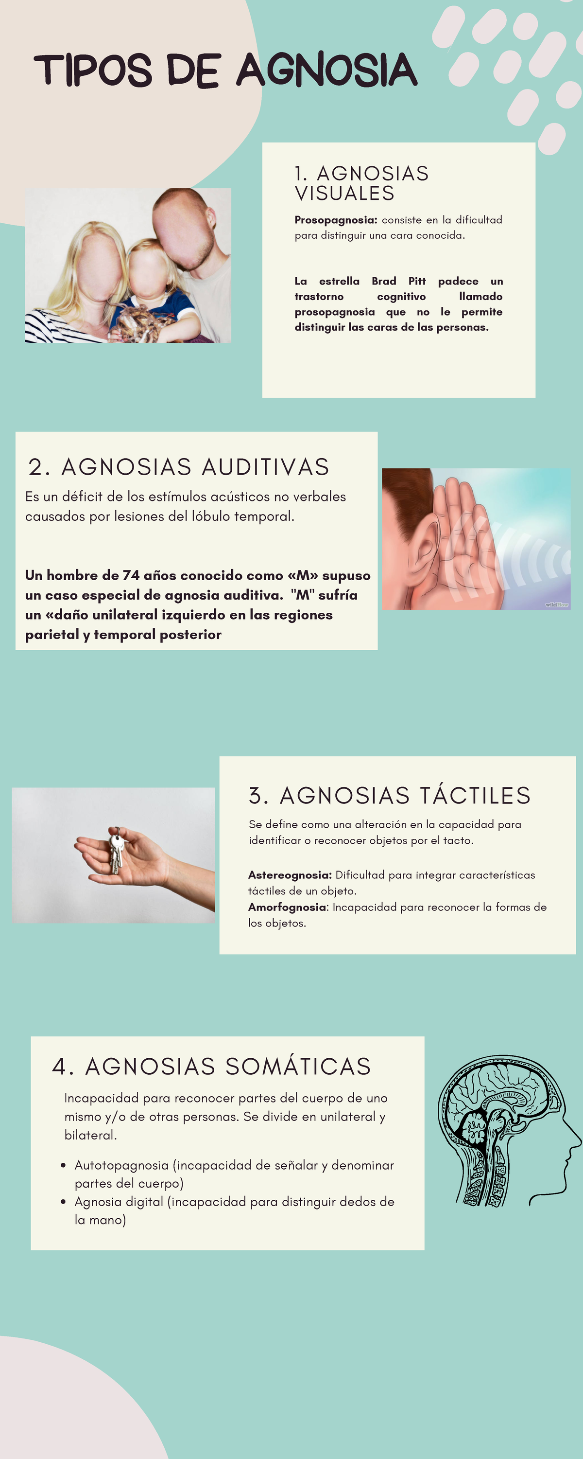 S9 Neuro Tipos de agnosia - 1. AGNOSIAS VISUALES Prosopagnosia ...