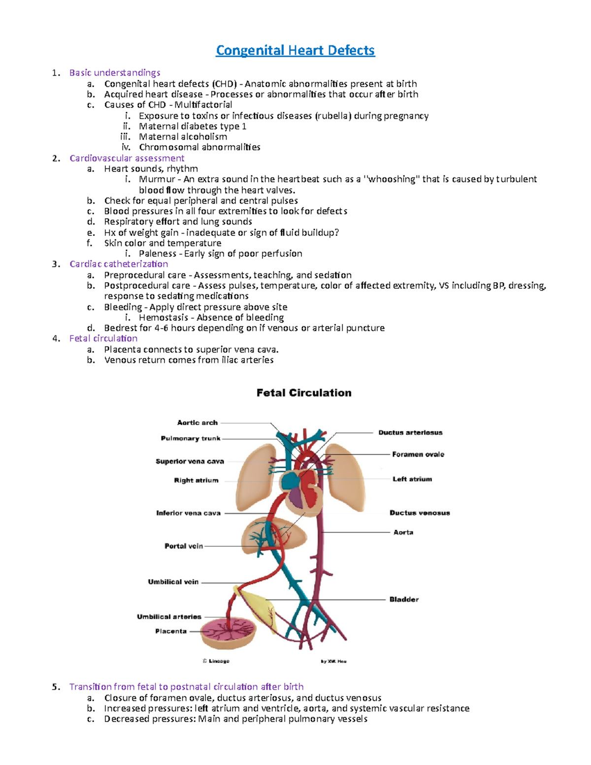 3. Congential Heart Conditions - Congenital Heart Defects Basic ...