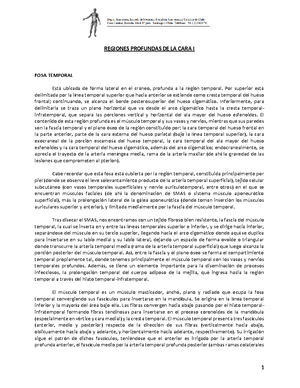 Patrones de movimiento multiarticular - Exp Brain Res (1995) 107:254 ...
