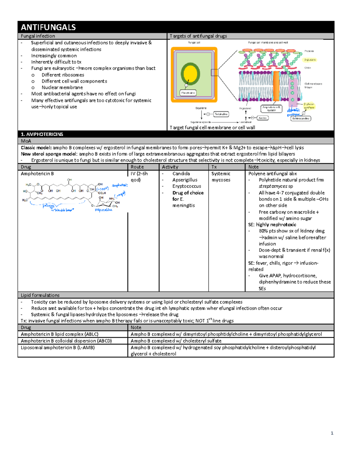 Module 3 Study guide (Mahmud) - ANTIFUNGALS Fungal infection Targets of ...