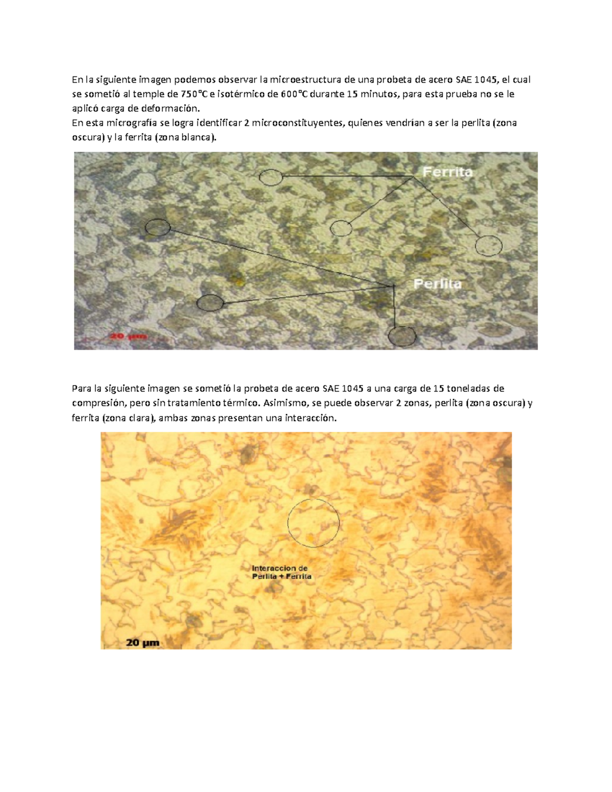 Avance sae 1045 - laboratorio - En la siguiente imagen podemos observar ...