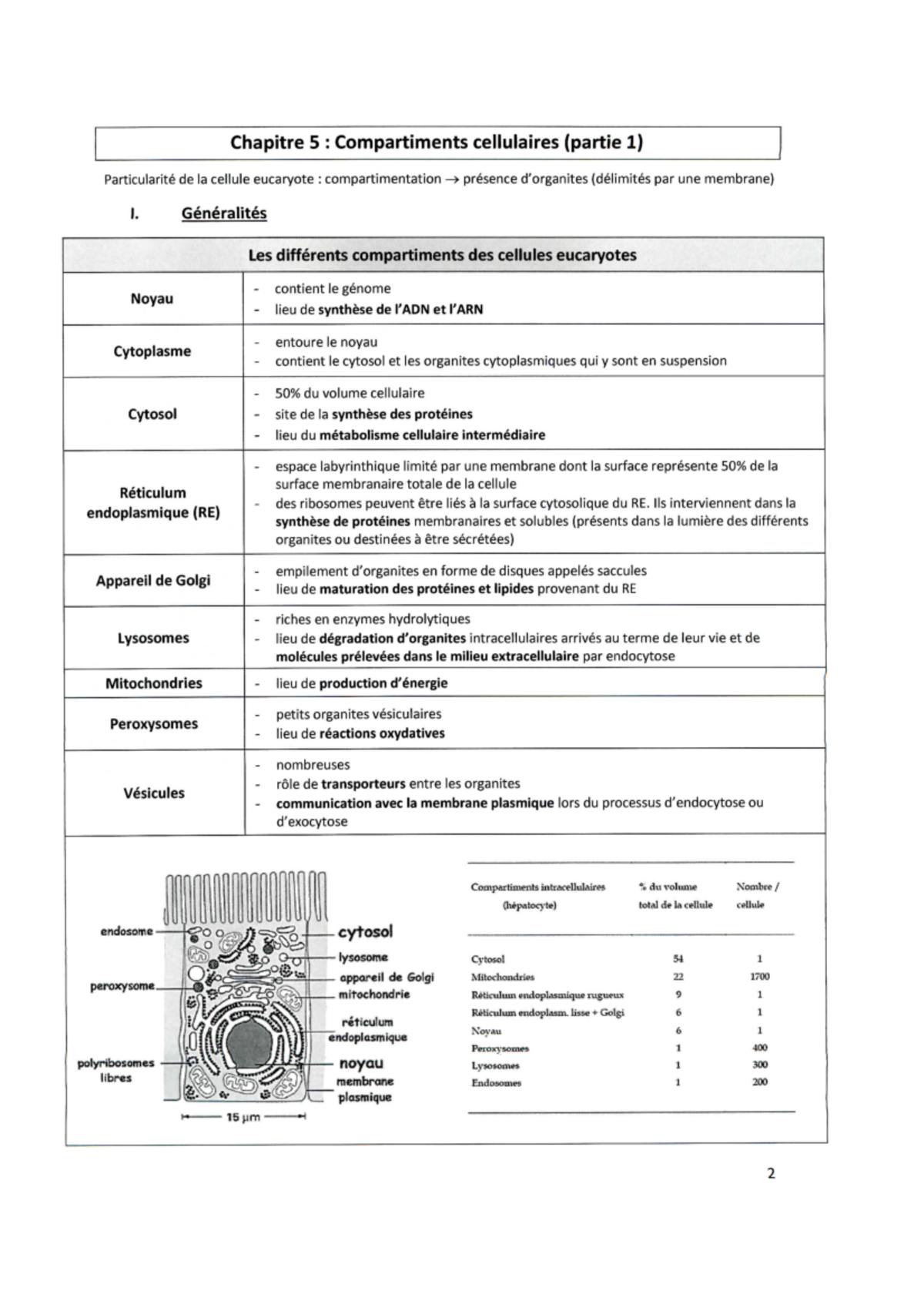 Cours Magistral°4 - Compartiments cellulaires 1 - Licence Sciences de ...