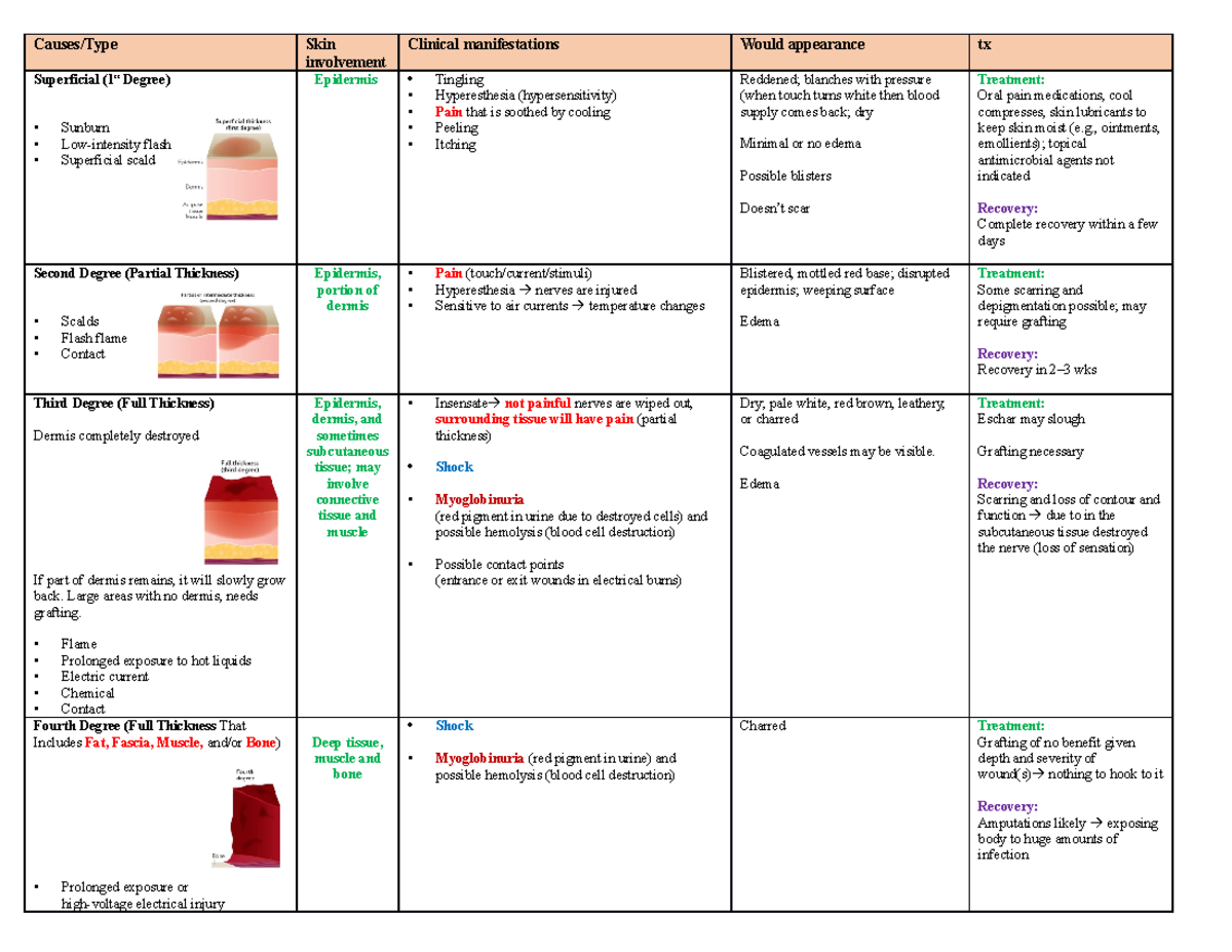 Burn depth with all 4 stages - Causes/Type Skin involvement Clinical ...