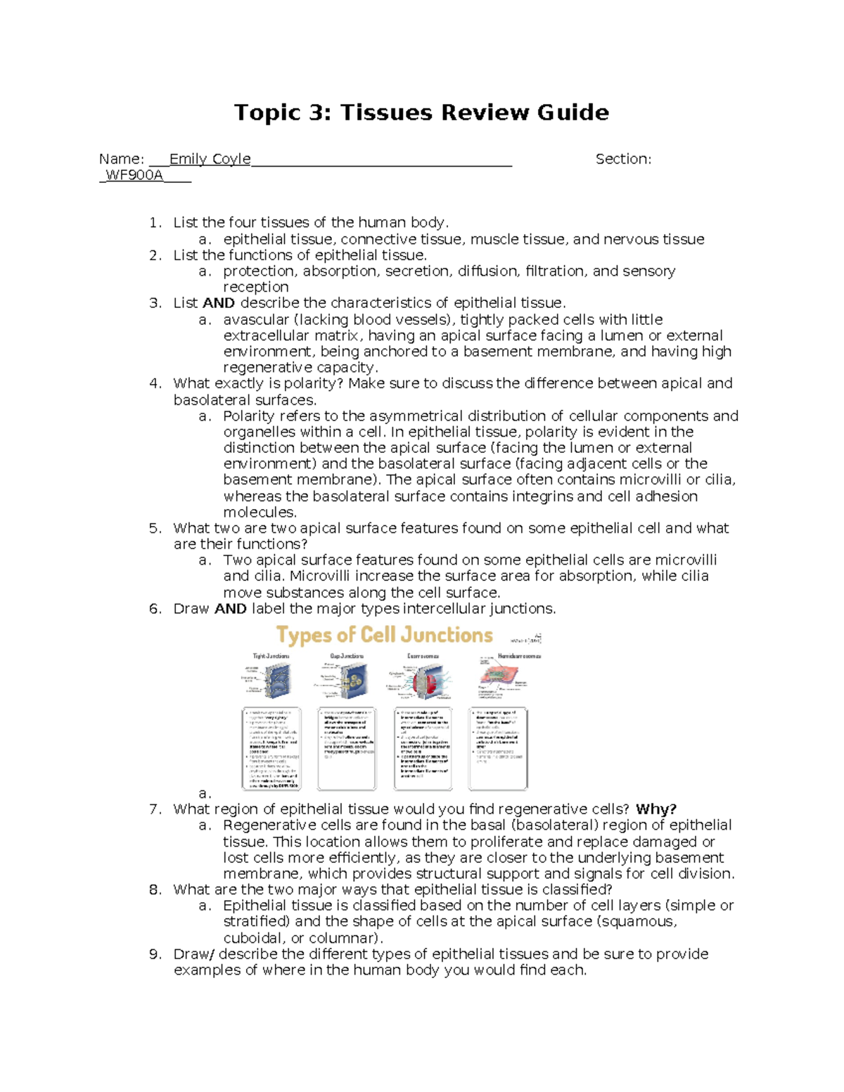 Topic 3 Tissues Review Guide - Topic 3: Tissues Review Guide Name: Emily - Studocu