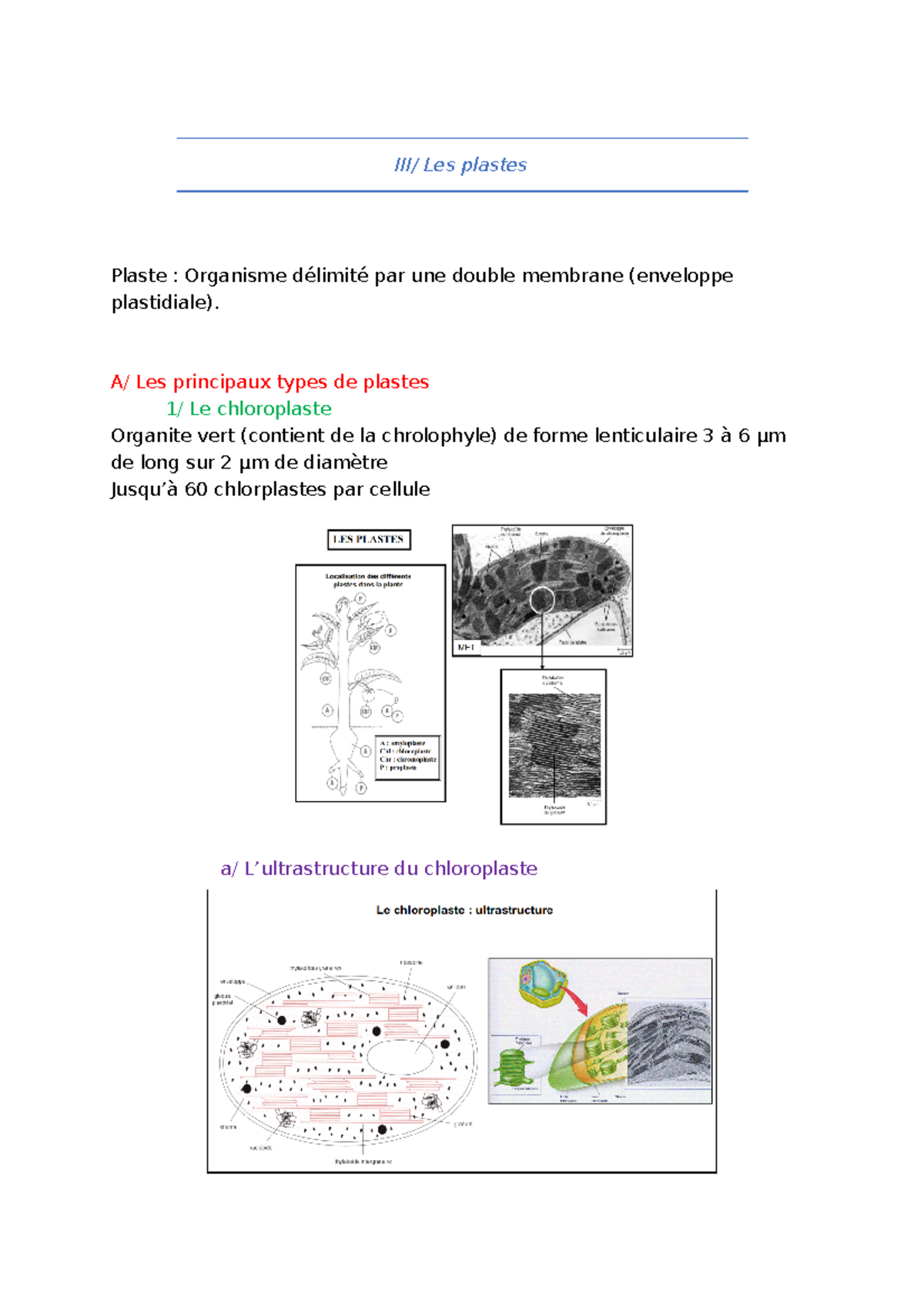 CM,,3 Les plastes - III/ Les plastes Plaste : Organisme délimité par ...