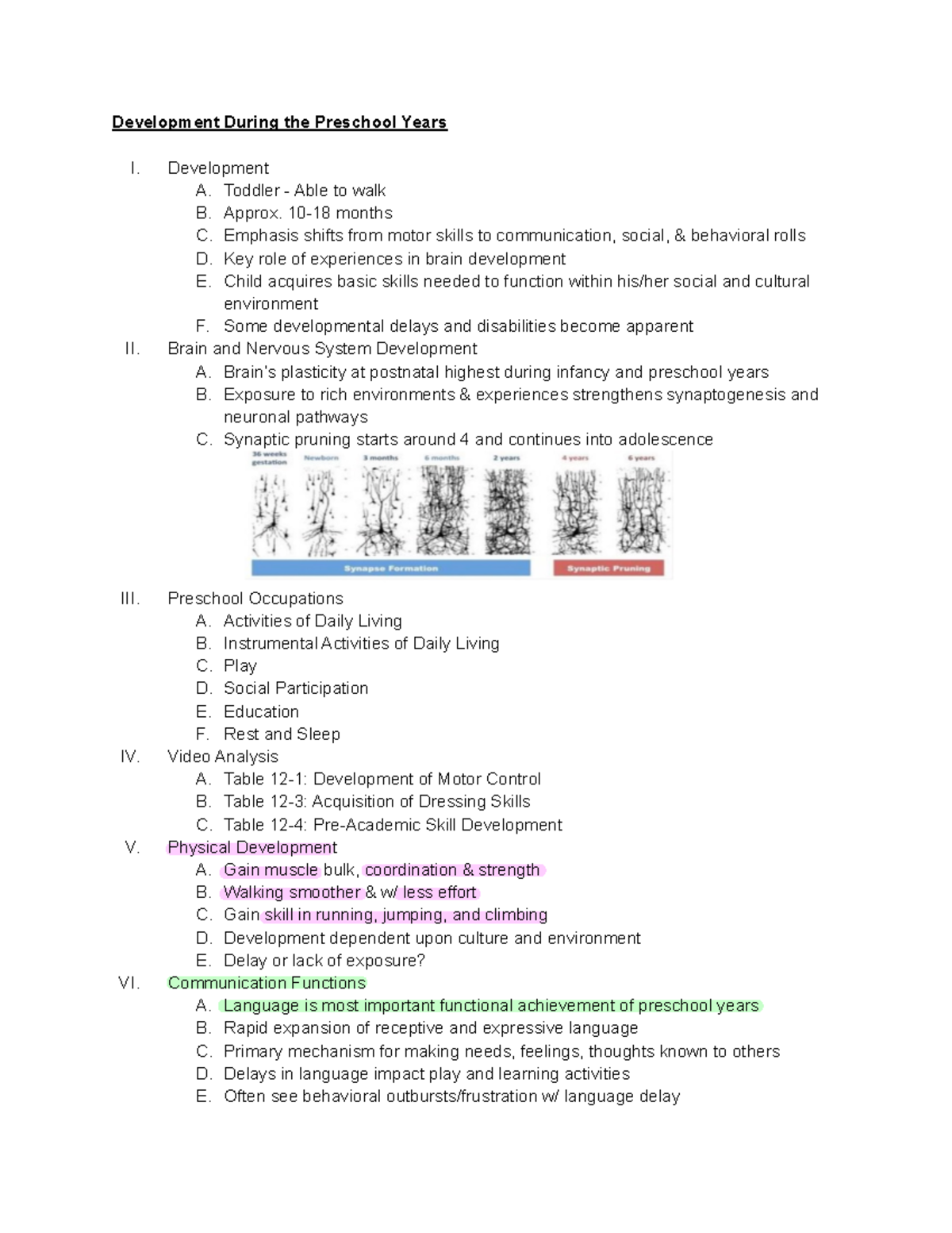 Development During the Preschool Years - Development A. Toddler - Able ...