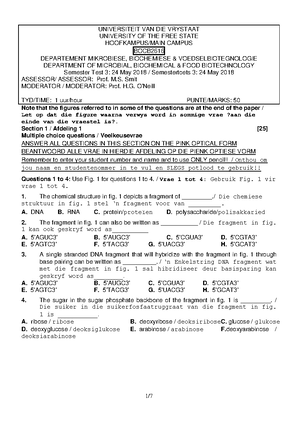 2021 Main mid-year - Exam paper - UNIVERSITY OF THE FREE STATE ...