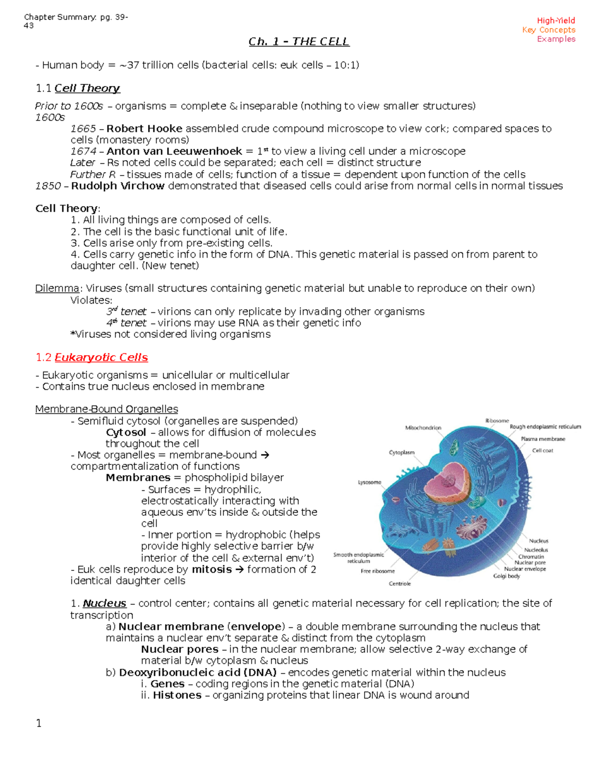 The Cell - Summary of The cell - Ch. 1 – THE CELL Human body = ~37 ...