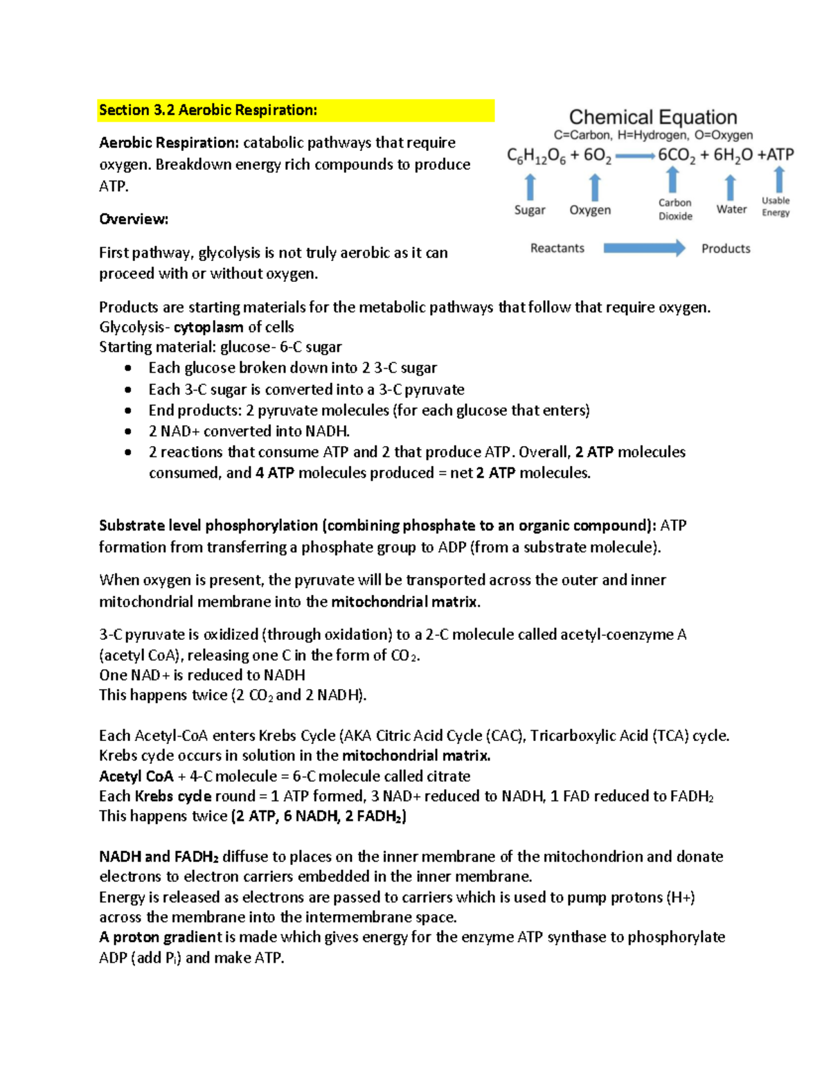 Section 3.2 Aerobic Respiration - Section 3 Aerobic Respiration ...