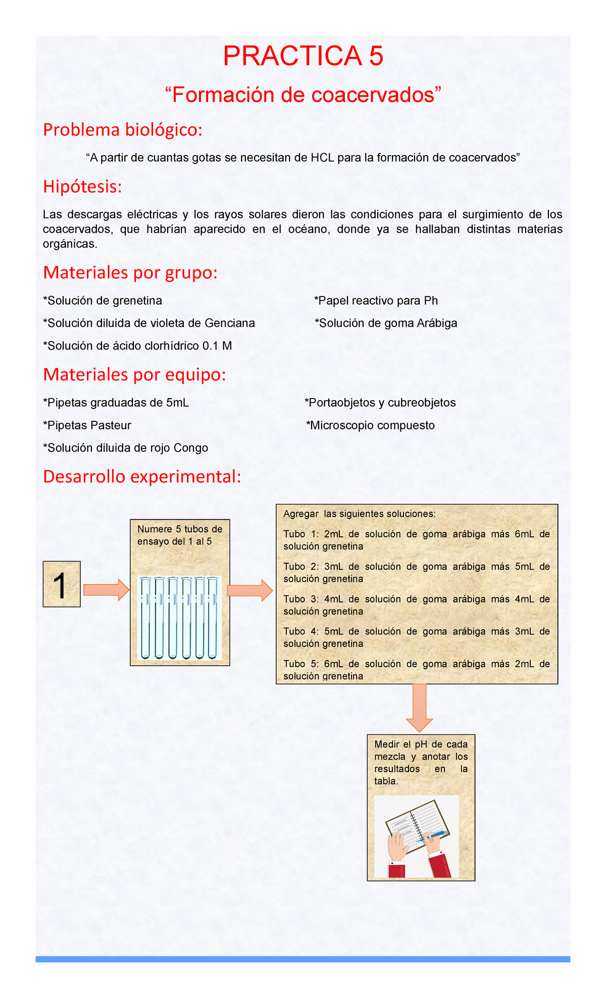 Formación de coacervados - PRACTICA 5 “Formación de coacervados ...
