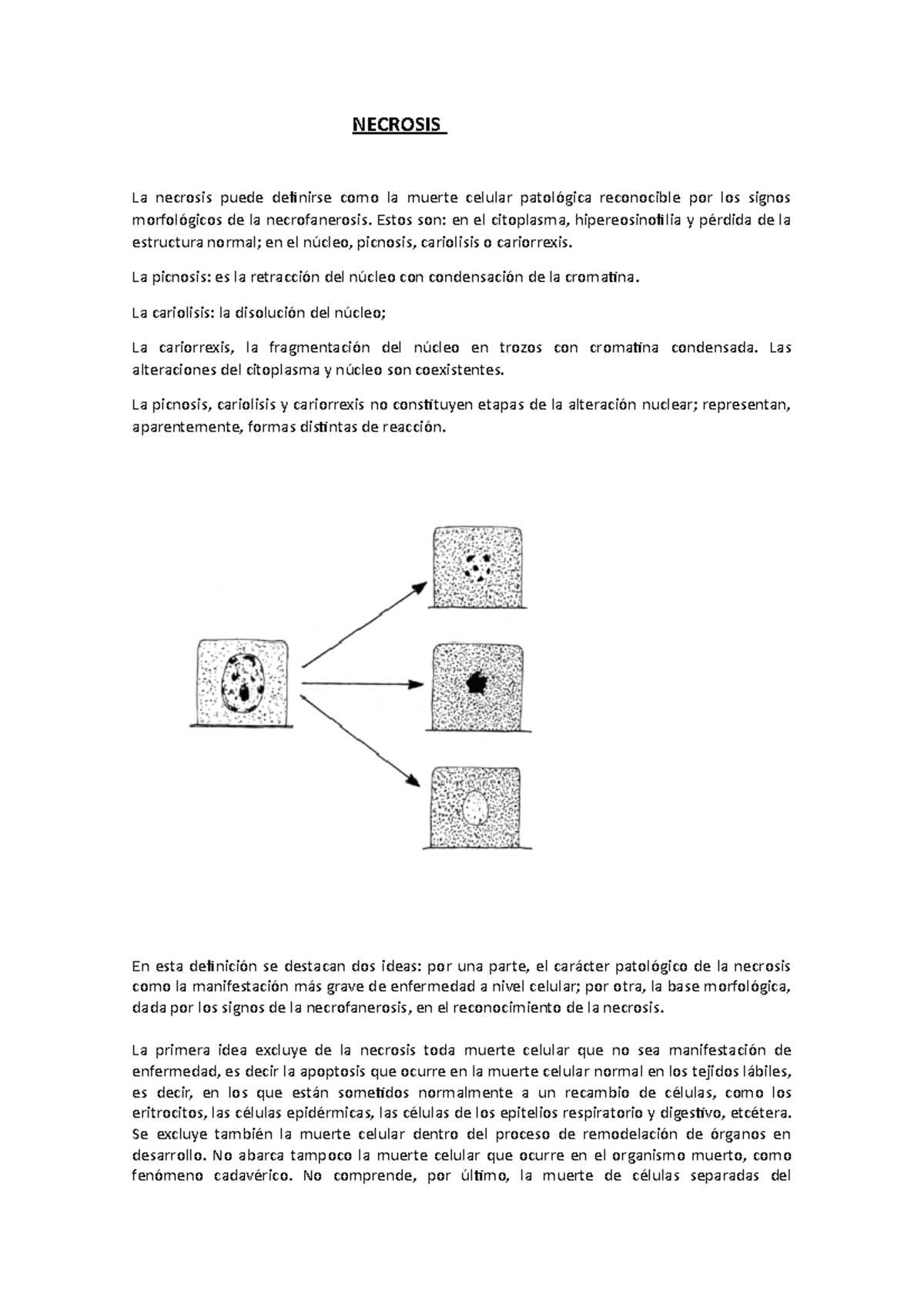 P Atologia General Necrobiosis, Necrofanerosis Y Necrolisis - NECROSIS ...