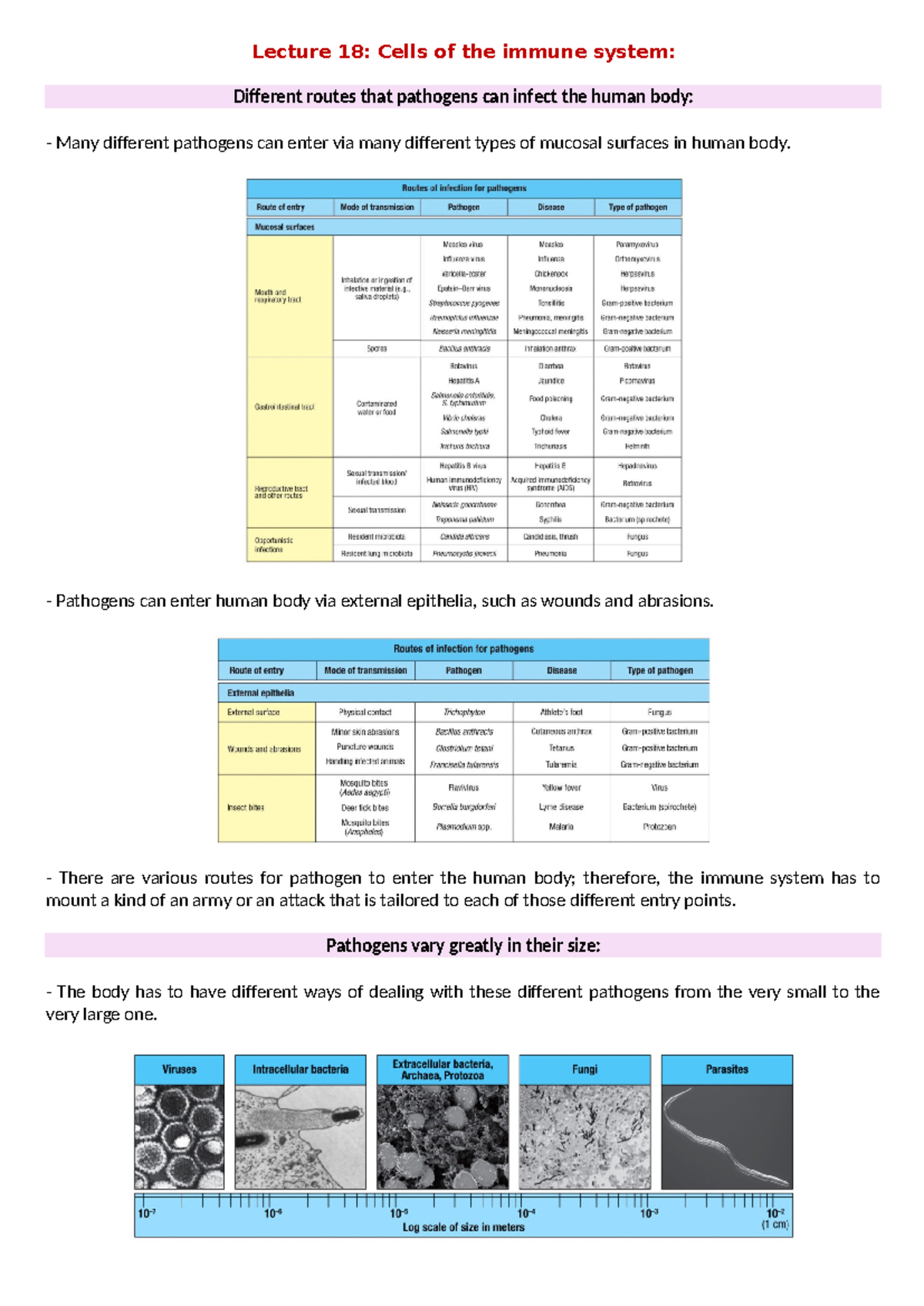 Lecture 18 Notes - Lecture 18: Cells of the immune system: Different ...