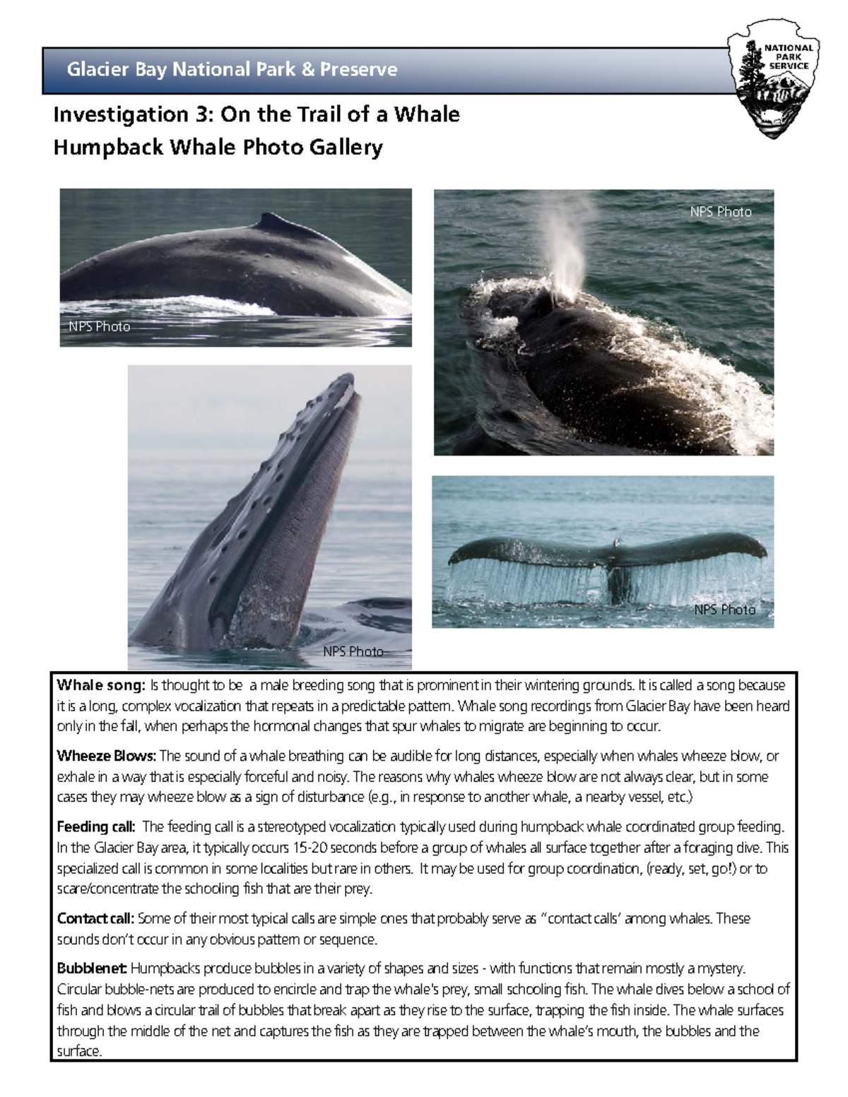 Humpback whale photo gallery 3 - Glacier Bay National Park & Preserve ...