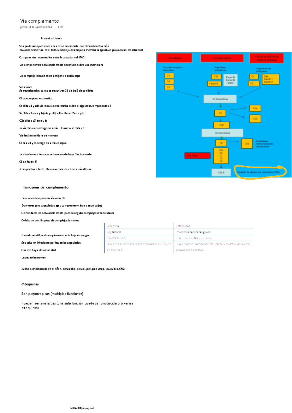 Vía del complemento en inmunidad innata - Son proteínas que tienen una ...