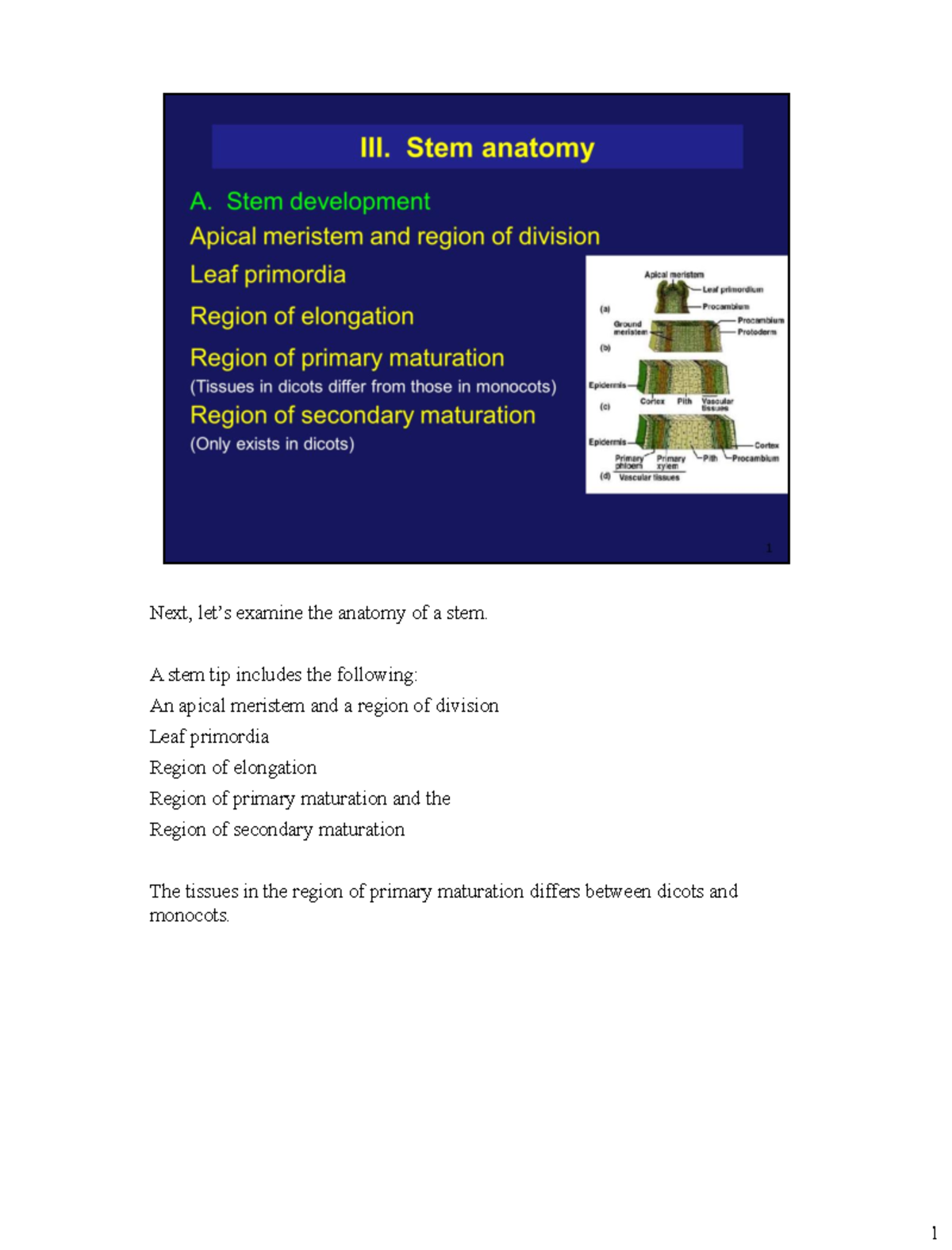 6. Stems online PART 2 - Lecture - Next, let’s examine the anatomy of a ...