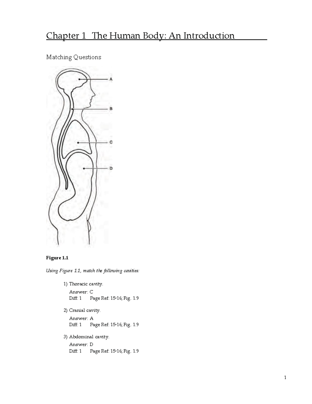 Chapter 1 The Human Body An Introduction - Chapter 1 The Human Body: An ...
