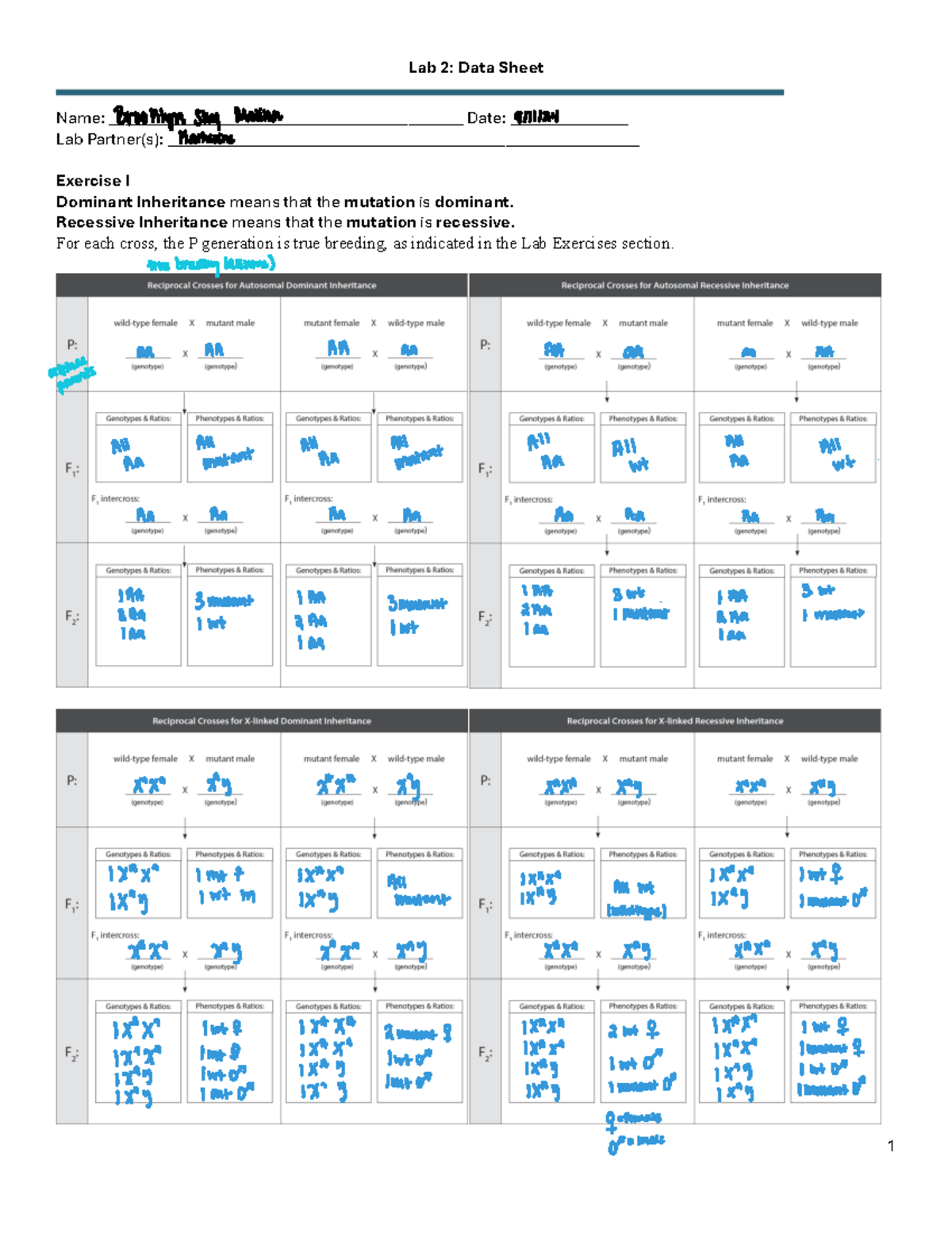 Lab 2 data sheet - Lab 2: Data Sheet Name: _____________________________________________ Date ...