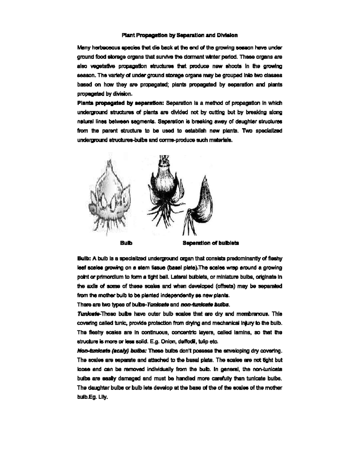 Horti notes 4 - horticulture - Studocu