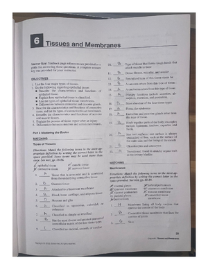 CH 6 BIO - ch 6 - NURSINGTB Chapter 06: Tissues and Membranes Herlihy ...